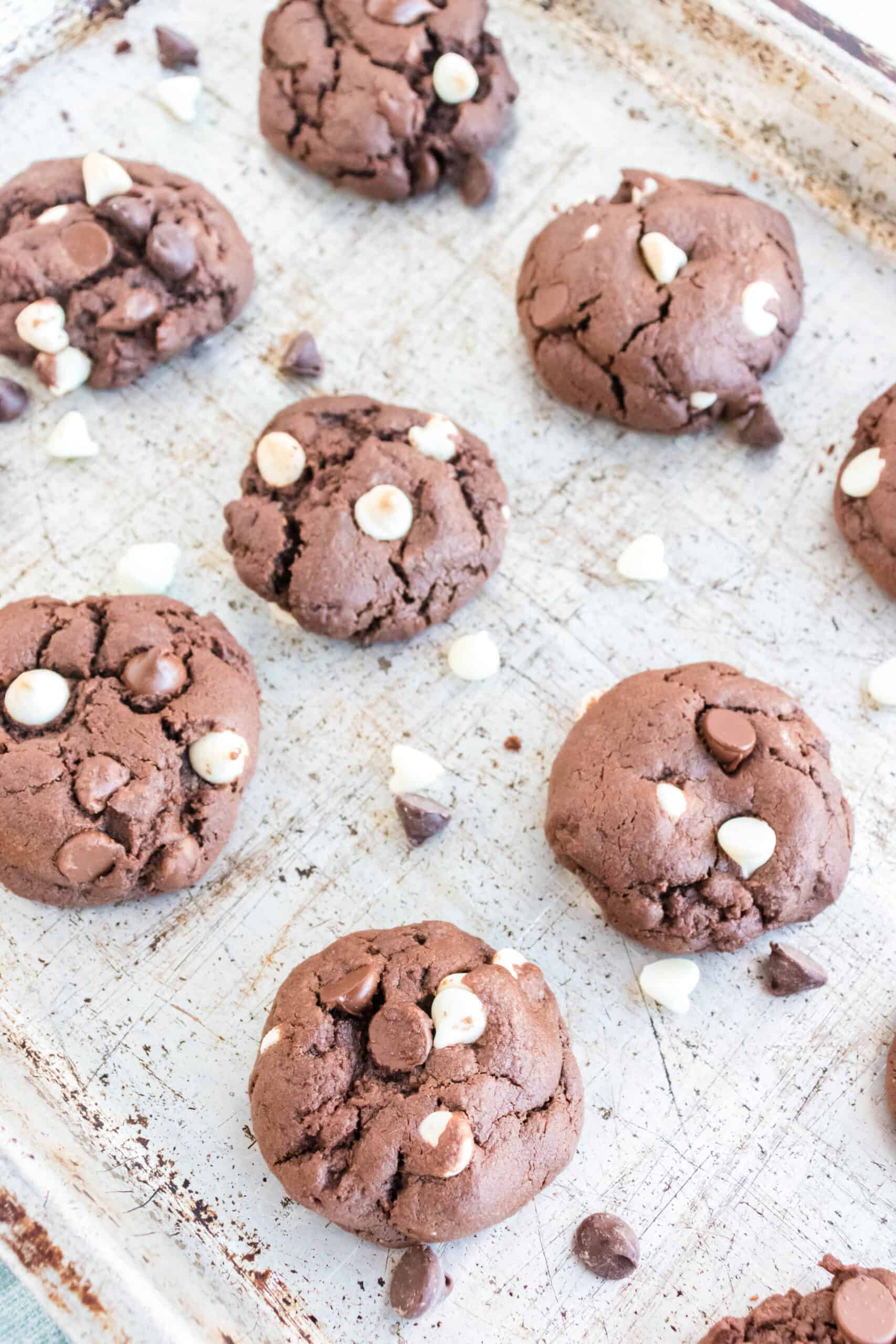 How To Make Chocolate Chocolate Chip Cookies Recipe | Home Fresh Ideas