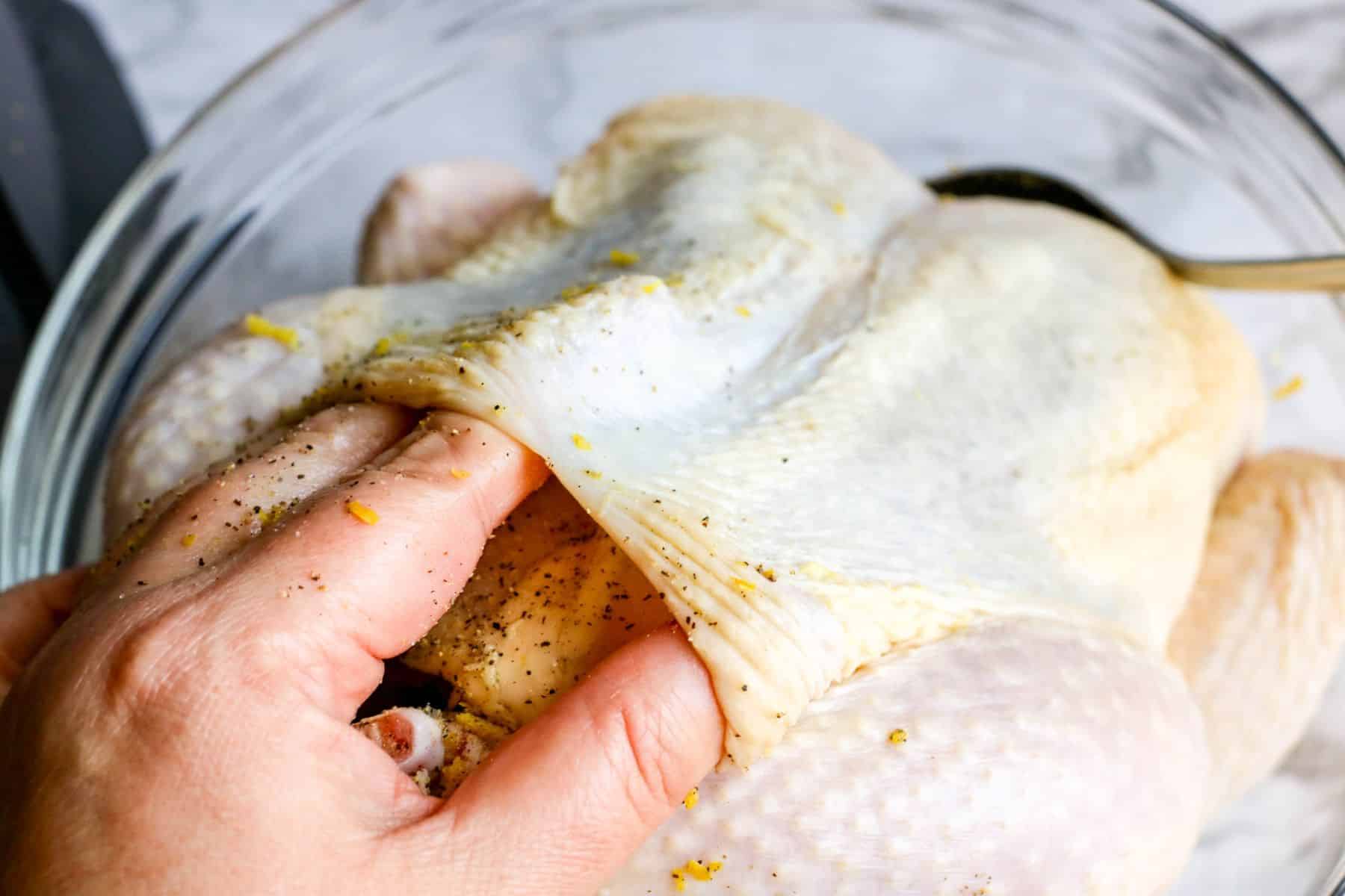 Ninja Foodi Whole Chicken – Home Fresh Ideas