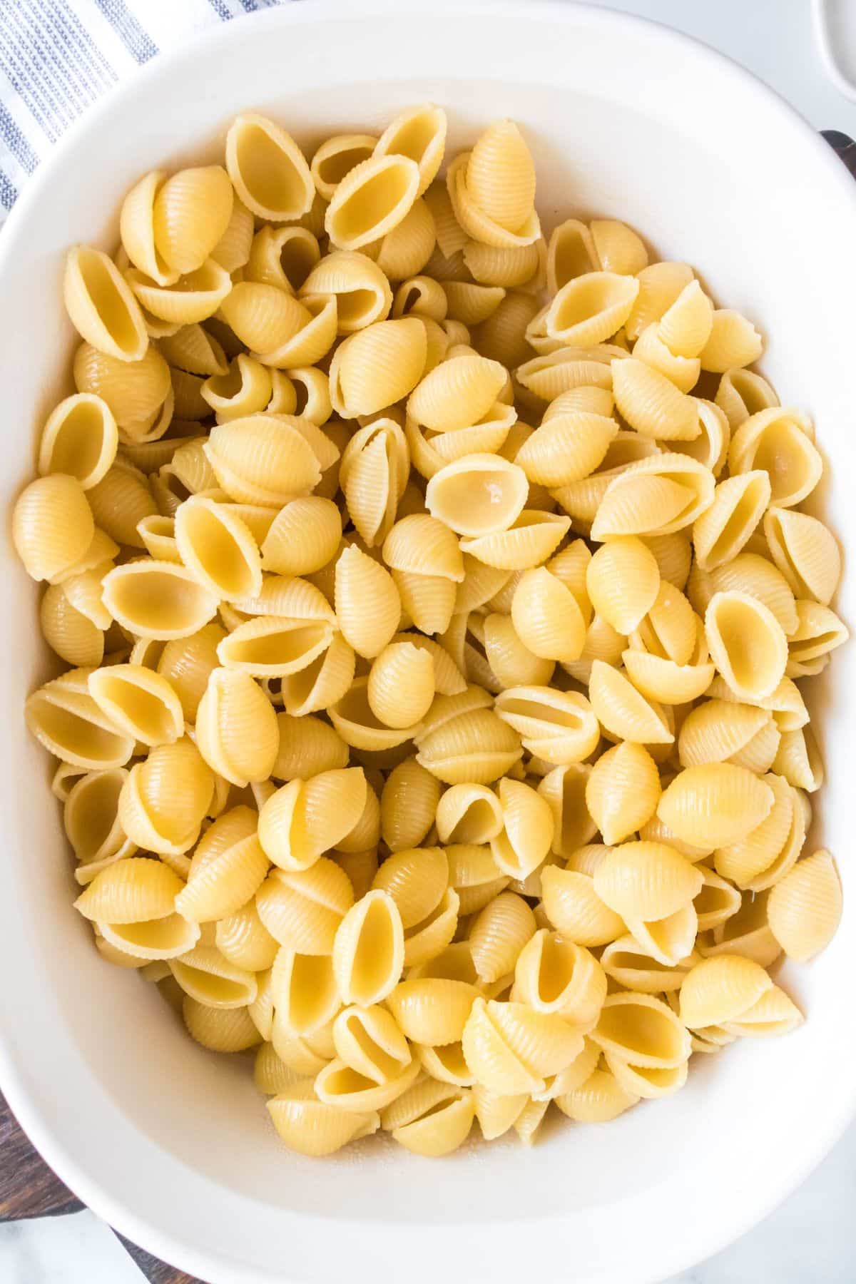 Macaroni and Cheese with Shells – Home Fresh Ideas