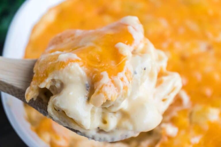 Macaroni and Cheese with Shells – Home Fresh Ideas