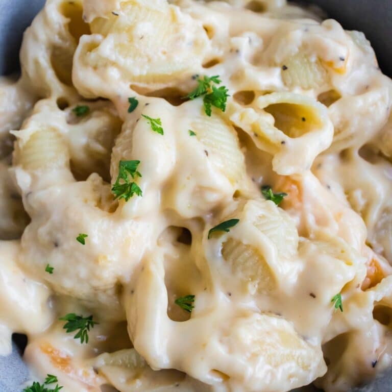 Macaroni and Cheese with Shells – Home Fresh Ideas